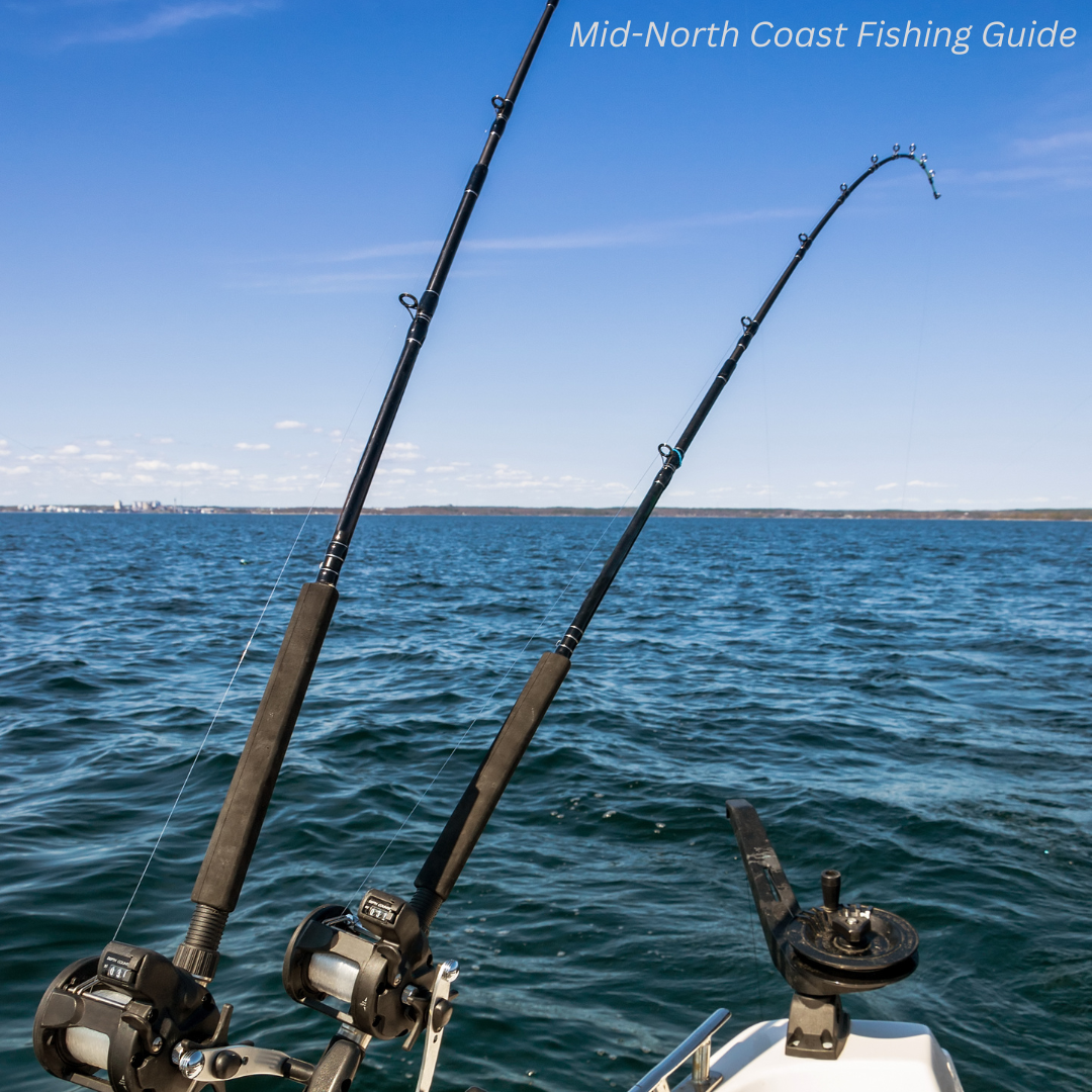 The Ultimate Fishing Guide to Pacific Palms and Forster, NSW